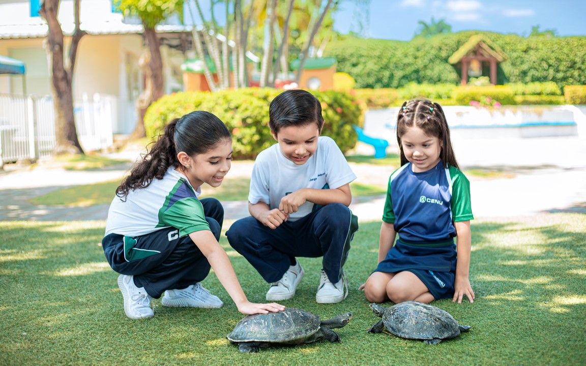 Inicio - CENU | Centro Educativo Naciones Unidas