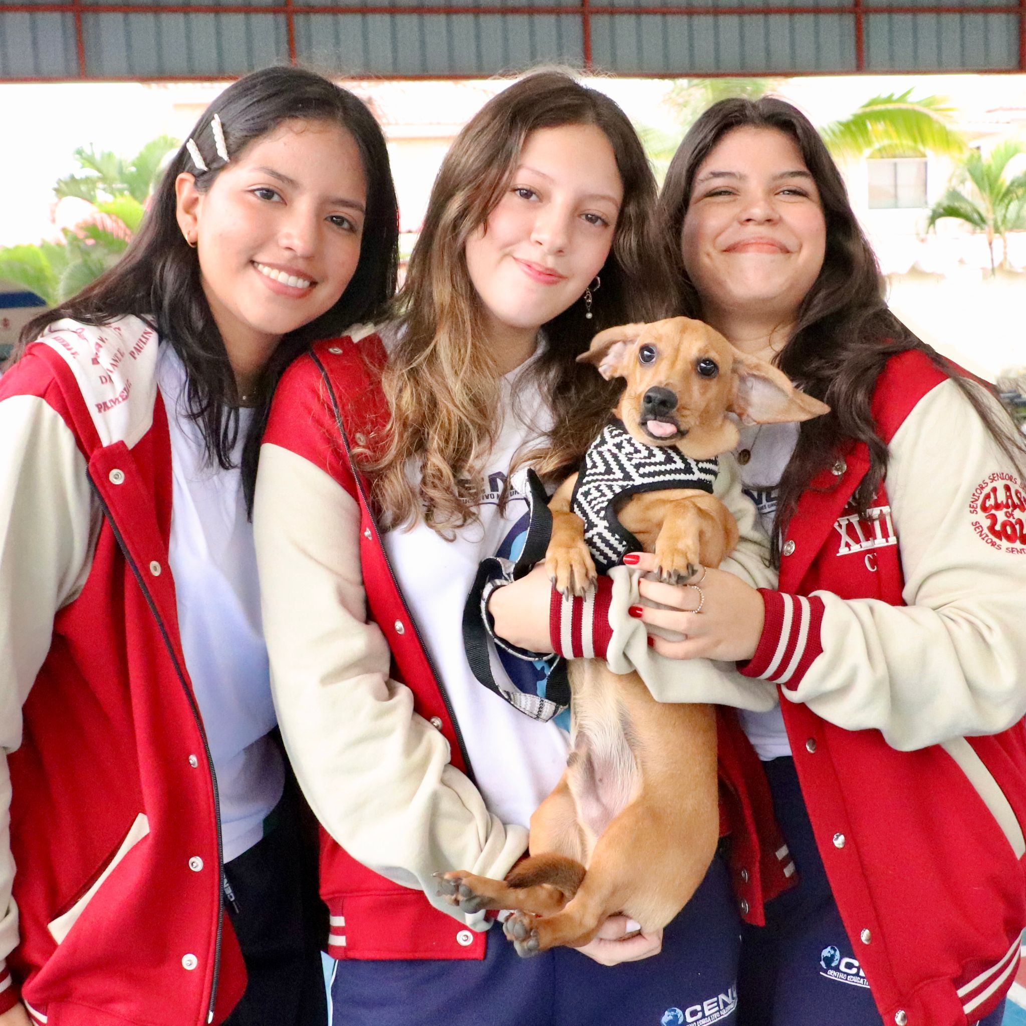 Inicio - CENU | Centro Educativo Naciones Unidas